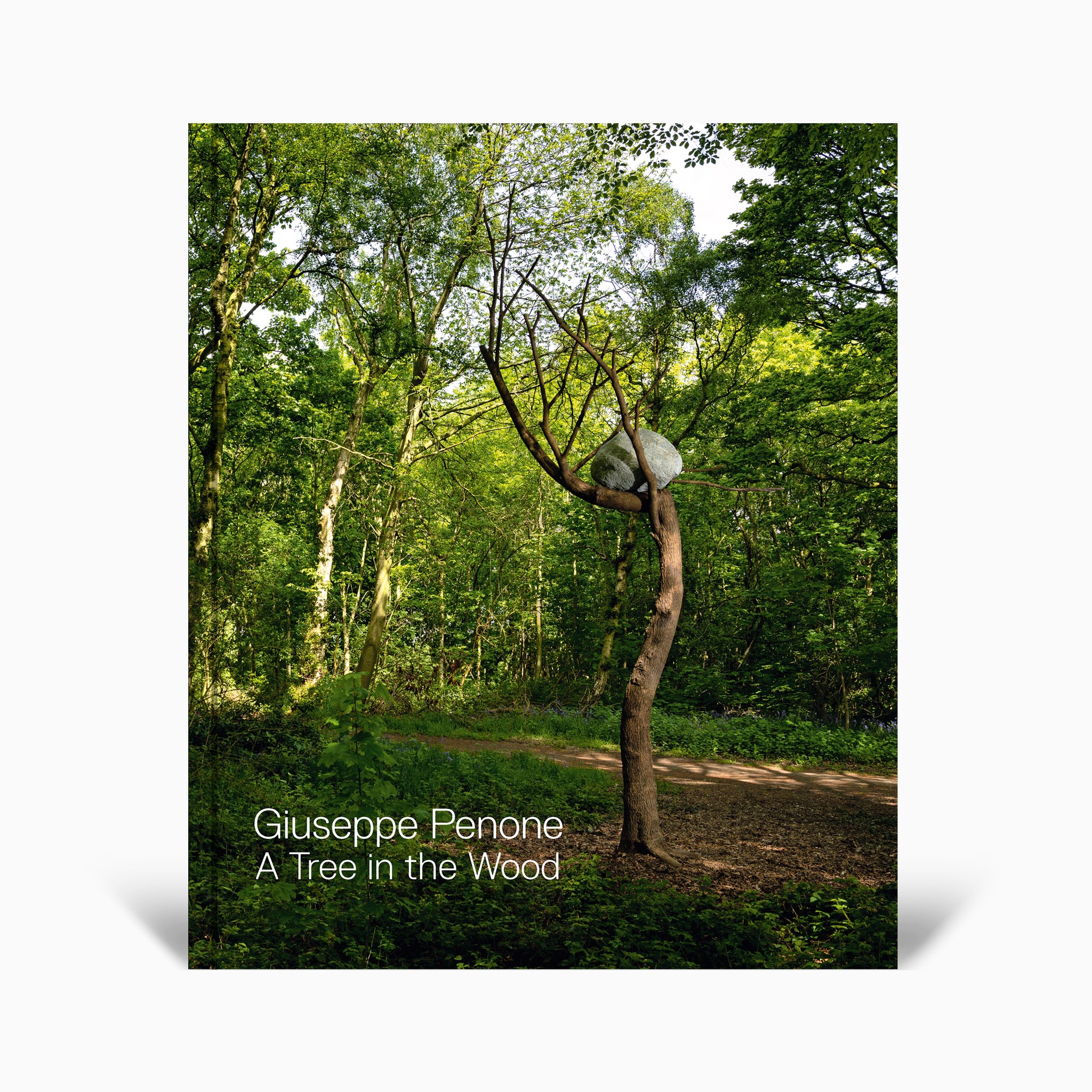 Giuseppe Penone: A Tree in the Wood – Yorkshire Sculpture Park Online Shop